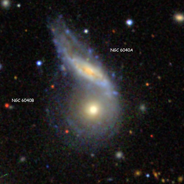 Costellazione Ercole