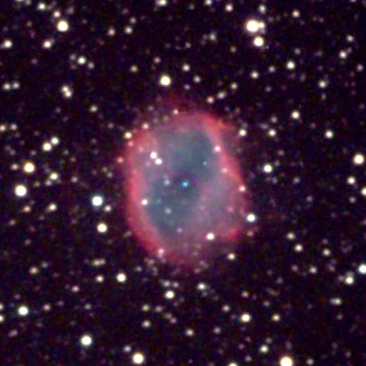 Costellazione Aquila